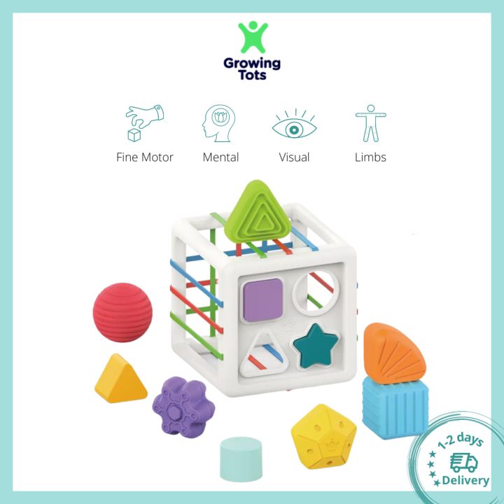 Huanger (Square + Shapes) Shape Sorting Toys │ Baby Montessori Learning ...