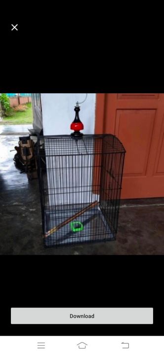sangkar burung beo jalak love bird dll kandang kotak besi | Lazada ...
