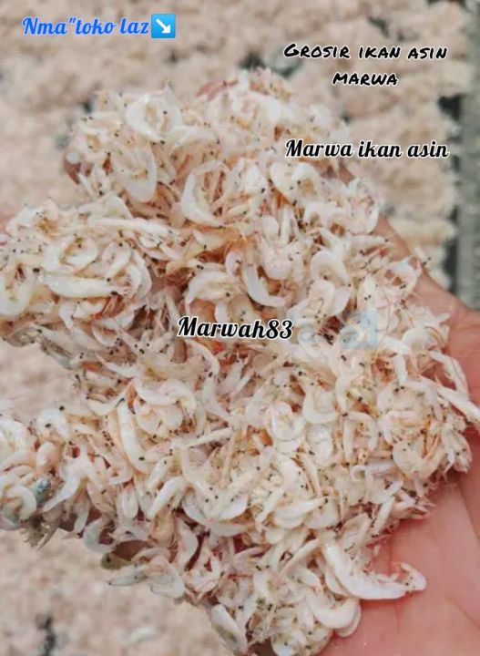 ikan asin rebon alus, rebon asin, ikan asin rebon kecil super murah ...