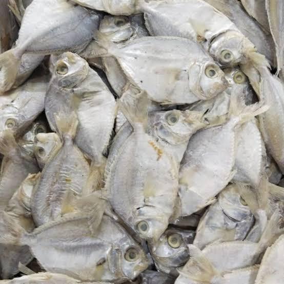 IKAN ASIN PIRIK/ PETEK GEDE MURAH | Lazada Indonesia