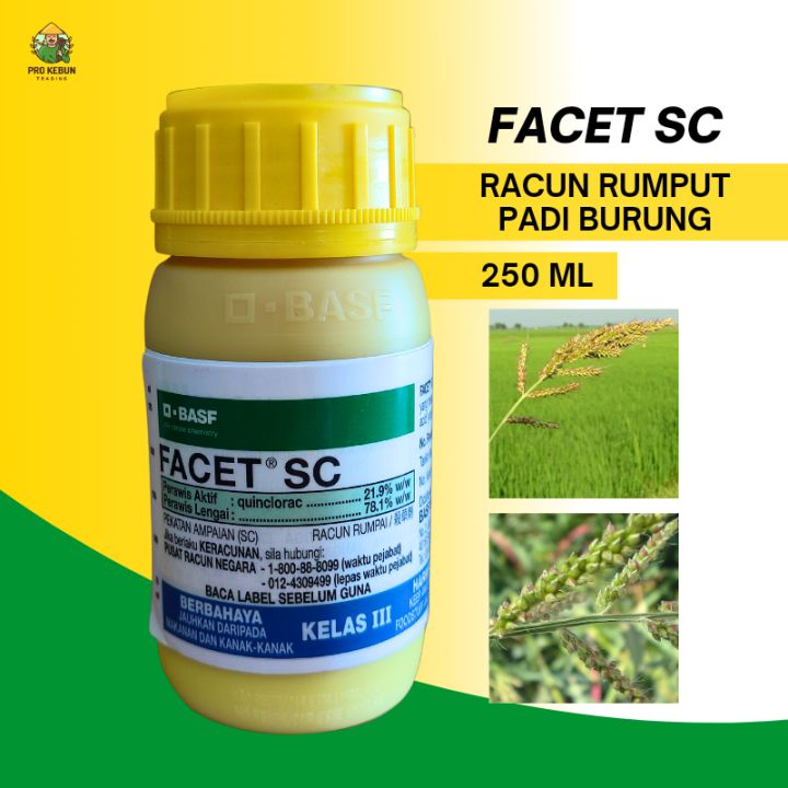 Facet SC Herbicide Weed Killer Racun Rumpai Padi Burung Herbicide Rice ...