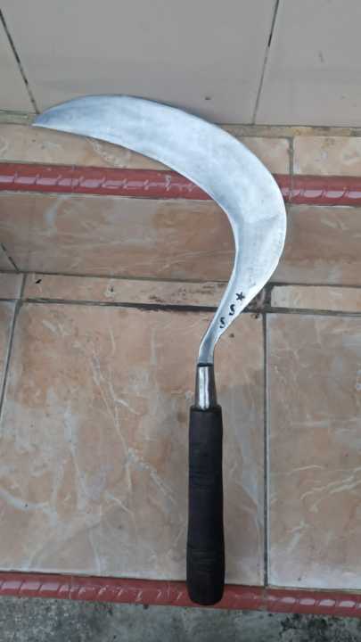 Arit Rumput jumbo | Lazada Indonesia