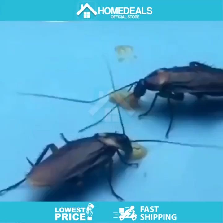 Cockroach Gel 10g Cockroach Killing Bait Effectively Removes