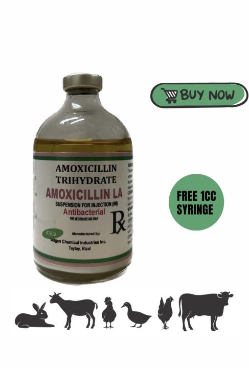 AMOX LA SUSPENSION 100ML FOR ANIMALS * VETGEN STORE | Lazada PH