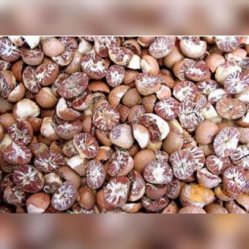 BUAH PINANG KERING 1/2KG (500g) | Lazada