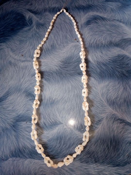Sea shell leis strellieta Nassa necklace sold per dozen. | Lazada PH