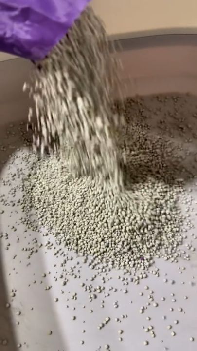 All Stages Adult Kitten 10L ABC Cat Bentonite Cat Litter Sand Fast ...