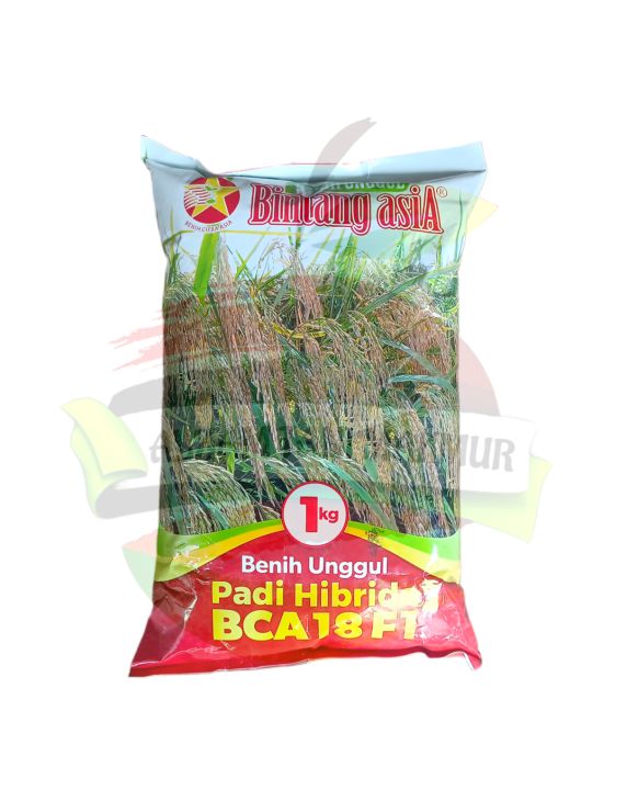 Benih Padi BCA 18 isi 1kg BINTANG ASIA | Lazada Indonesia