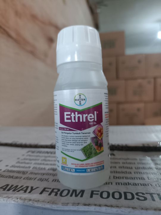 Zat Pematang Buah Ethrel 100ml | Lazada Indonesia