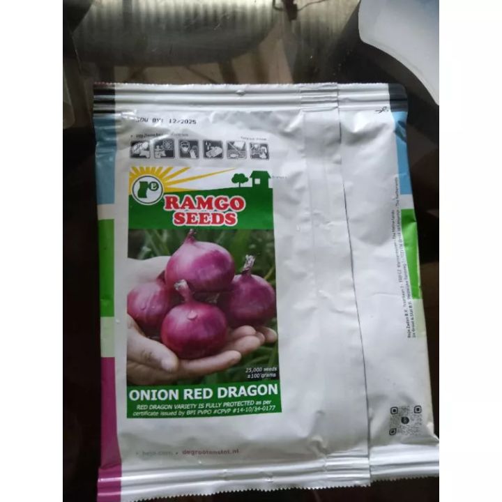 RED DRAGON ONION SEEDS 100 GRAMS. | Lazada PH
