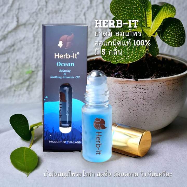 Herbit Aromatic Ocean Roll-on ยาดม กลิ่นโอเชี่ยน แบบลูกกลิ้ง (ใช้ดม ใช้ ...