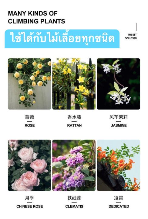 ♥️ซุ้มระแนง แบบบนโค้ง♥️[พร้อมส่ง] | Lazada.co.th