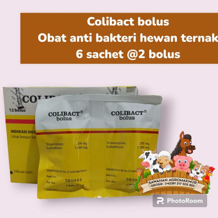 colibact bolus isi 2 obat diare flu mencret pilek sapi kambing kuda ...