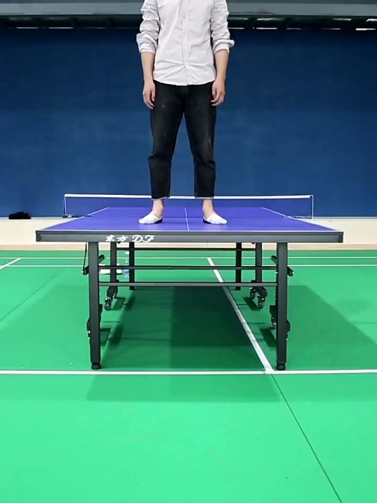 High-end table tennis table home foldable standard professional ...