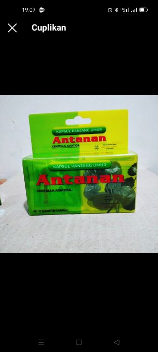 Kapsul antanan | Lazada Indonesia