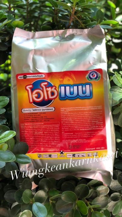 โอโซเบน (Ozo-ben) | 1 กิโลกรัม(kg) | Lazada.co.th
