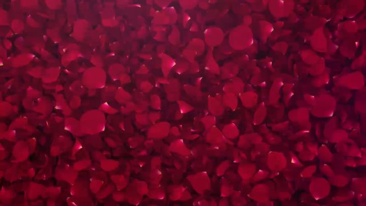 Trà Zoga - Thảo mộc hoa hồng VIỆT ANH 30g | Lazada.vn