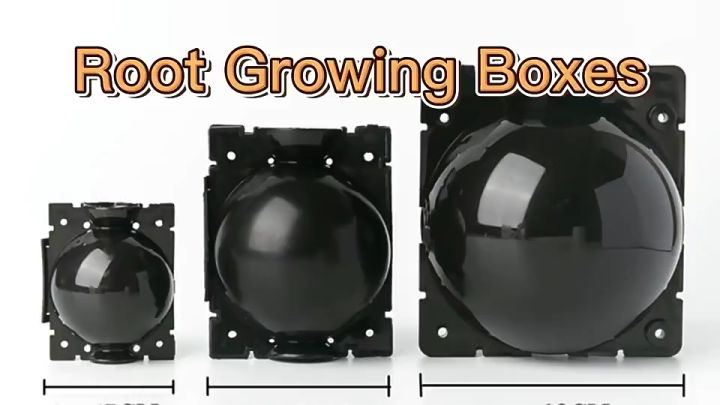 10Pcs Tree root growing box grafting tool Reusable Plant Rooting case ...