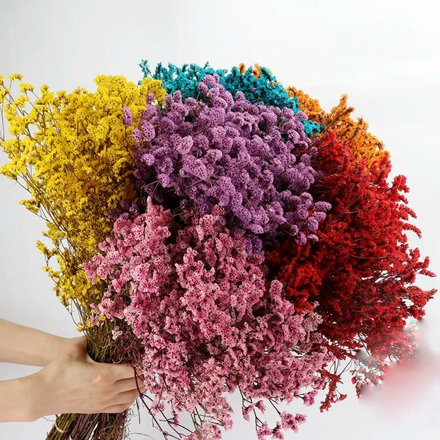 Dried Caspia Real Flower Dried Misty Decor Gift Wedding Party Home ...