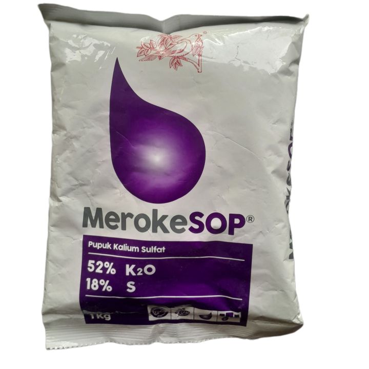 PUPUK MEROKE SOP 1 KG KEMASAN PABRIK HIDROPONIK KALIUM SULFAT | Lazada ...