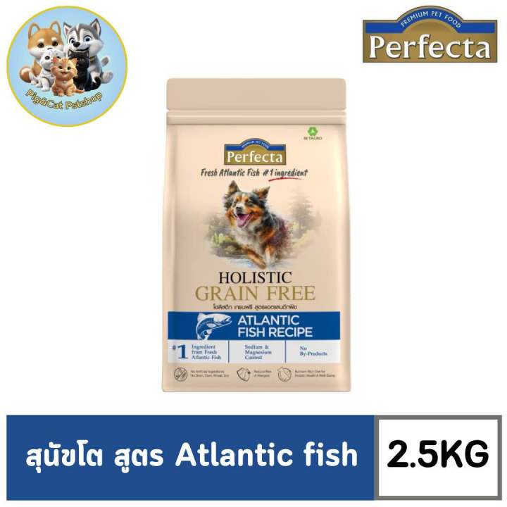 PERFECTA HOLISTIC GRAIN FREE สุนัขโต สูตร Atlantic fish 2.5 KG | Lazada ...