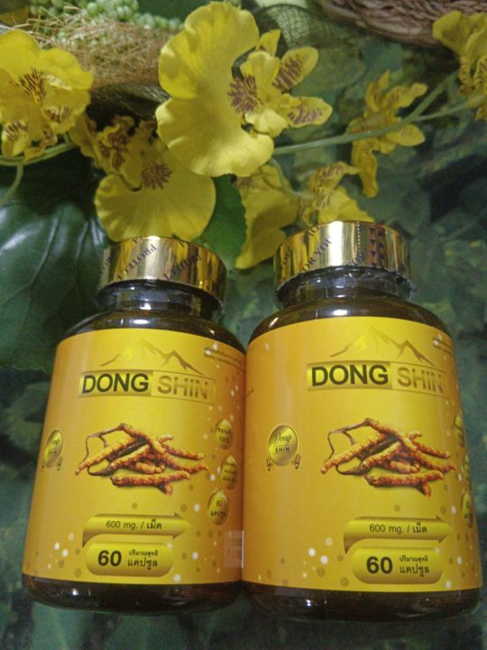 Dong Shin ตงฉิน ถั่วเช่าทิเบต 60 แคปซูล แพคคู่ | Lazada.co.th