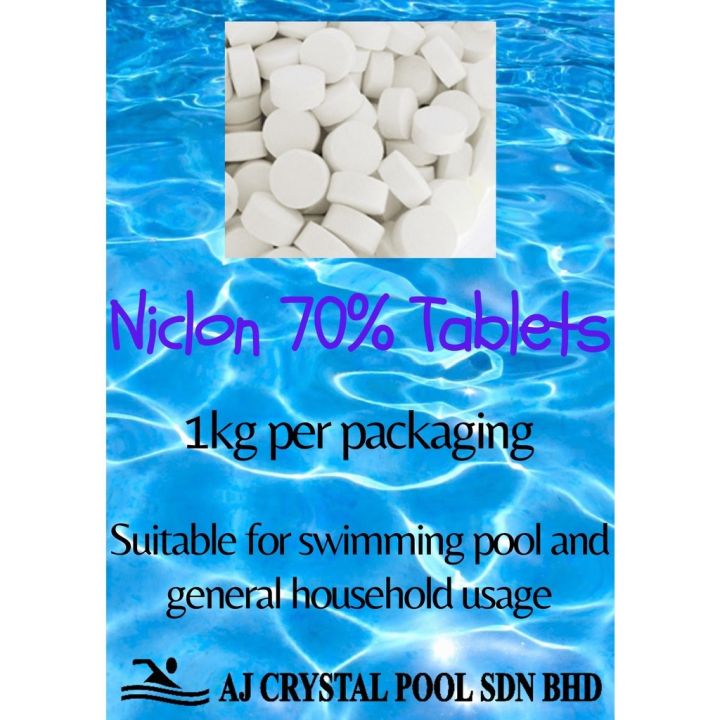 Niclon klorin chlorine 70% mini tablets [READY STOCK] [MADE IN JAPAN ...