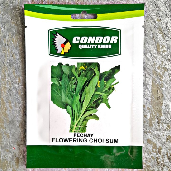 FLOWERING CHOI SUM / CHOYSUM PECHAY SEEDS (5 GRAMS) by CONDOR | Lazada PH