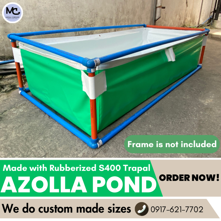 3x2x1.5ft Azolla S400 High Quality Azolla Bed Fish Pond Trapond Koi ...