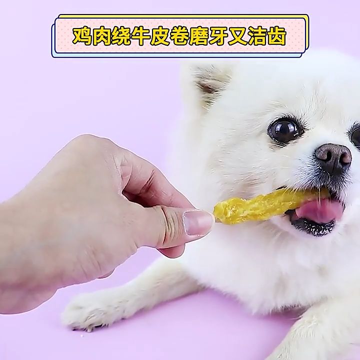 FUNNY U Premium Dog Treats 100g Dog Snacks Dog Treat Snack Dog Snack ...