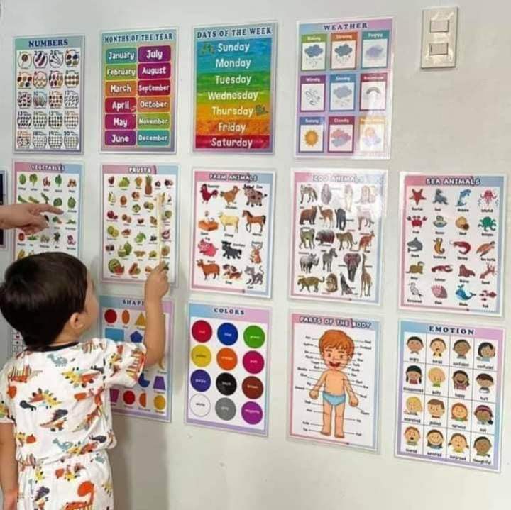 Laminated Educational Wall Chart for kids - Size A4/Learning Materials for kids | Lazada PH