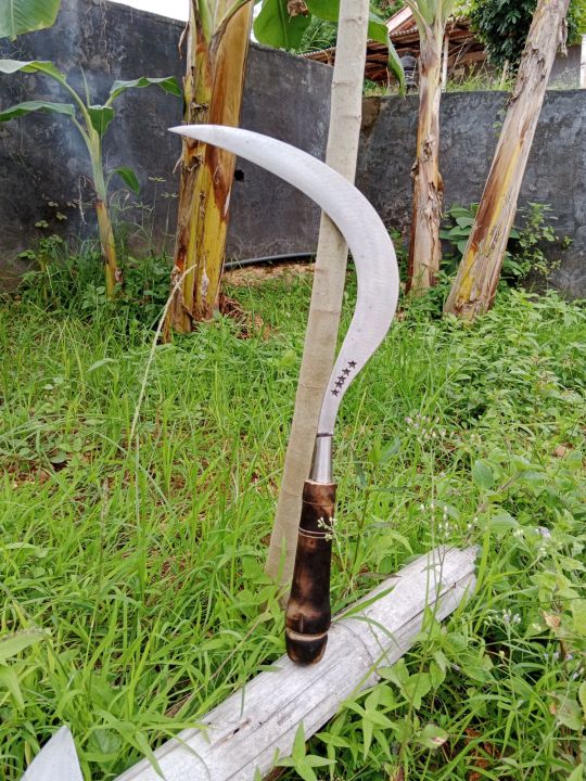 arit rumput / padi dan ranting² bajan baja murni asli madura | Lazada ...