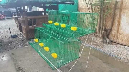 Battery cages Coated green | Lazada PH