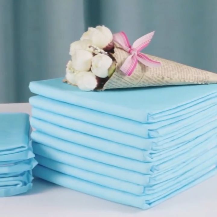 50pcs/pack Dog Pee Pad S/M/L Super Absorbent Dog Pee Training Pad Pet ...