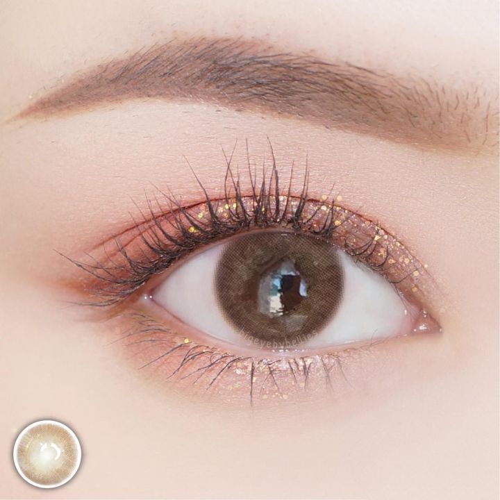 คอนแทคเลนส์ ขนาดมินิ Mini Ava Gray / Brown | Lazada.co.th