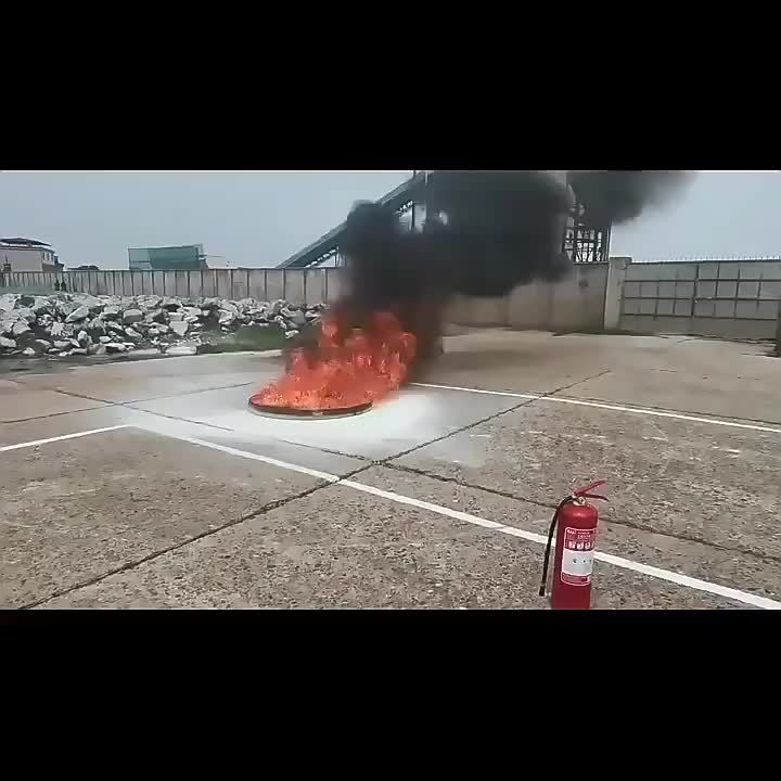 3lbs. Fire Extinguisher ABC Dry Chemical | Lazada PH