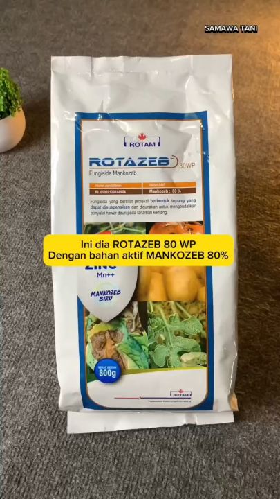 Rotam Rotazeb 80 WP Fungisida Mankozeb Kemasan 800 gram | Lazada Indonesia