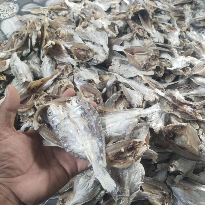 Ikan Asin Samge Belahan 1 kg Enak Dan Gurih | Lazada Indonesia