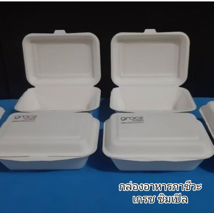 กล่องอาหารภาชีวะ เกรซ ซิมเปิล Compostable Lunch Box Gracs simple บรรจุ ...