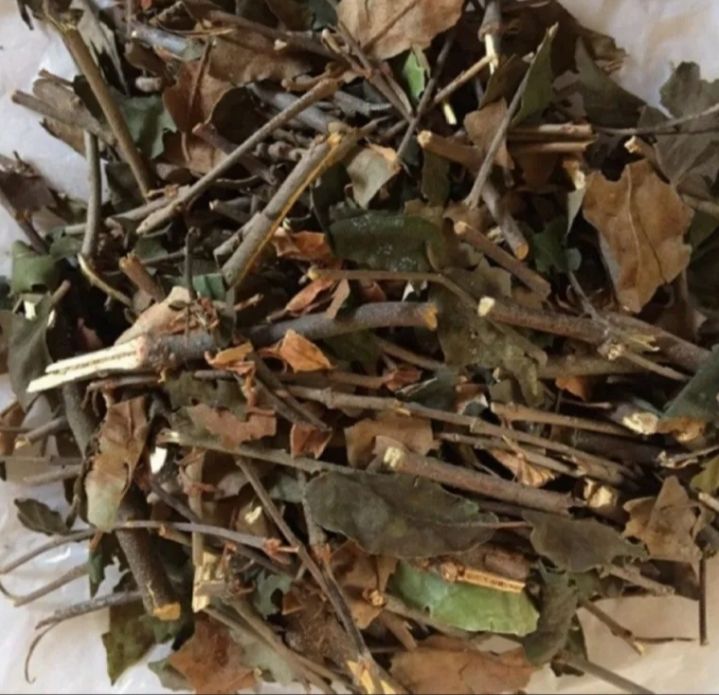 DAUN BENALU JERUK NIPIS KERING HERBAL MURAH PROMO HARGA | Lazada Indonesia DAUN BENALU JERUK NIPIS KERING HERBAL MURAH PROMO HARGA | Lazada Indonesia