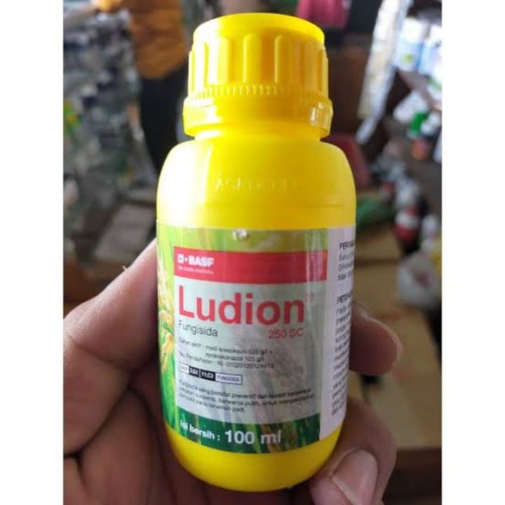 fungisida LUDION 250 sc 100 ml | Lazada Indonesia