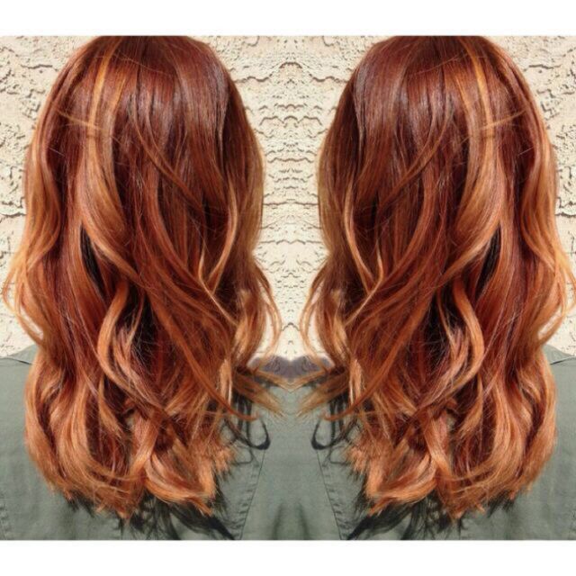 7.4 light copper 100ml bremod hair colorant only or set w/ 100ml bremod ...