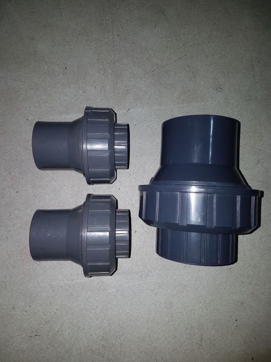 PVC (Gray) SPRING CHECK VALVE | Lazada PH