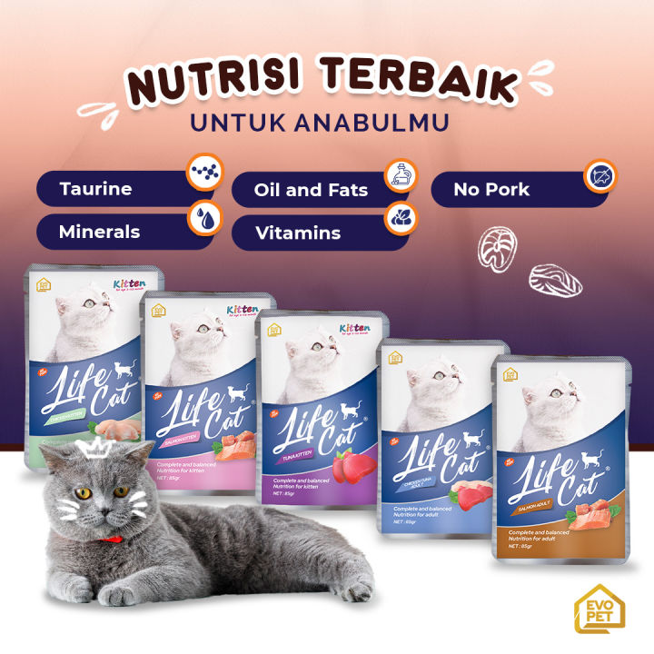 Life Cat Sachet kitten 85gr all varian | Lazada Indonesia