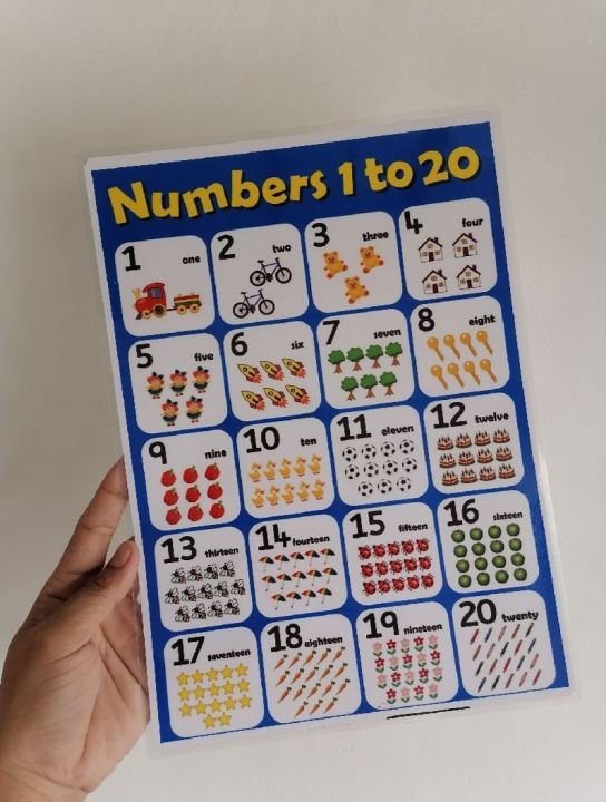 Laminated A4 size Numbers 1-20 | Lazada PH