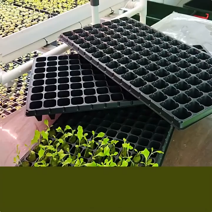 20 PCS Pot Bibit / Seedling Pot / Pot Tray Semai Bibit Benih 32/50/72 ...