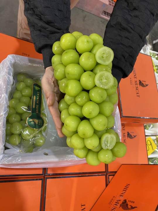 องุ่นShine muscat(1kgขึ้นไป)หวานหอมฉ่ำ อร่อยมาก ช่อใหญ่สุดๆ | Lazada.co.th