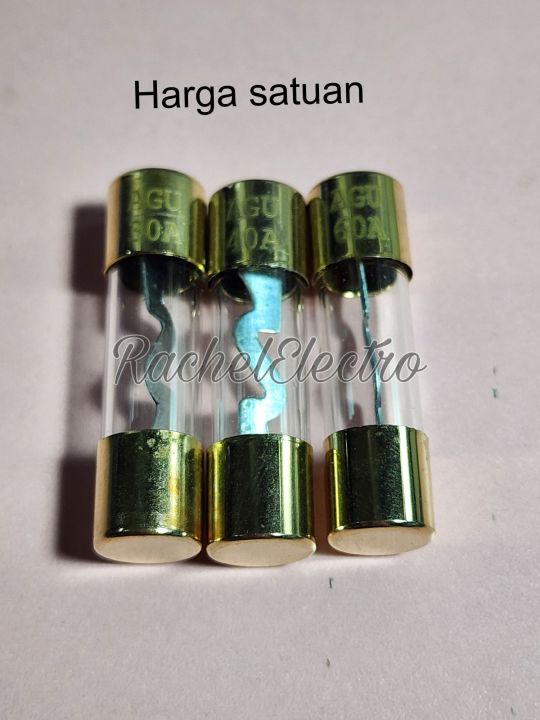 Fuse Kaca Mobil Botol Tabung 30a 40a 60a Fuse Mobil Sekring Mobil Fuse