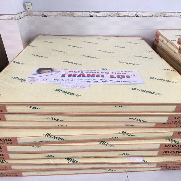 NỆM 1m x 2m x 5cm CAO SU NON THẮNG LỢI CHẤT LƯỢNG CAO | Lazada.vn