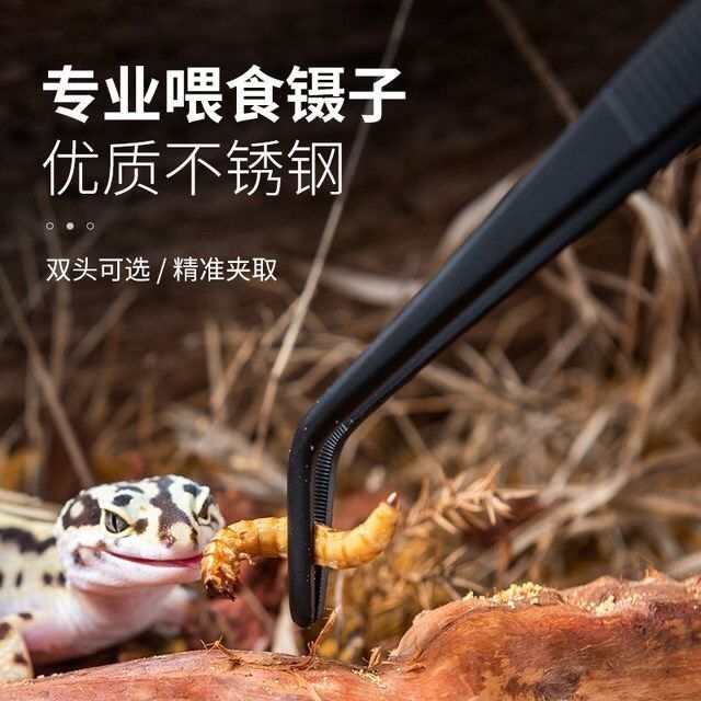 Feeding Tongs for Reptiles And Amphibians Extended Water Grass ...